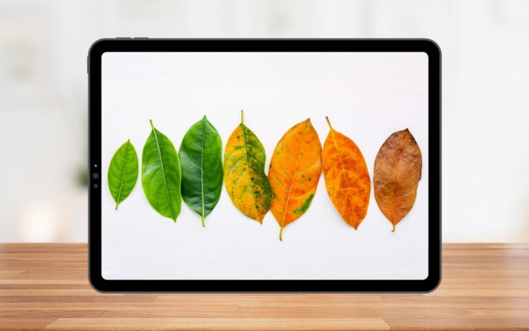 Mobile Device Lifecycle Management: Guide & Checklist